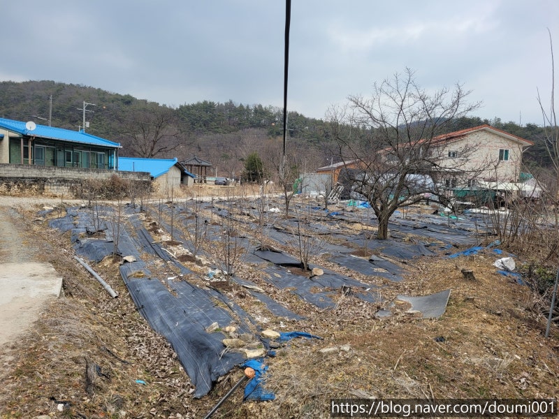 대전 유성구 성북동 단독 주택 매매 네이버 블로그