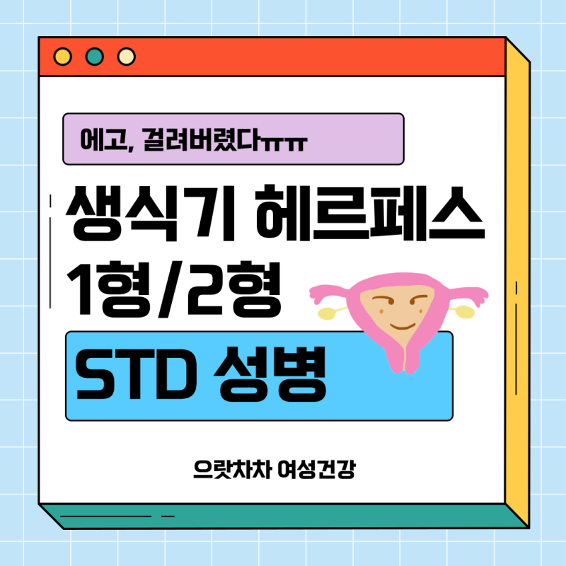 Std 12종 검사 생식기 헤르페스 바이러스 감염 수포 너무 아파요 1형2형입술성병증상연고전염완치여자남자