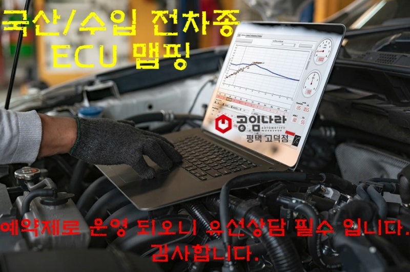 공임나라 평택 고덕점 국산수입 전차종 Ecu 맵핑 문의는 공임나라 평택 고덕점 네이버 블로그