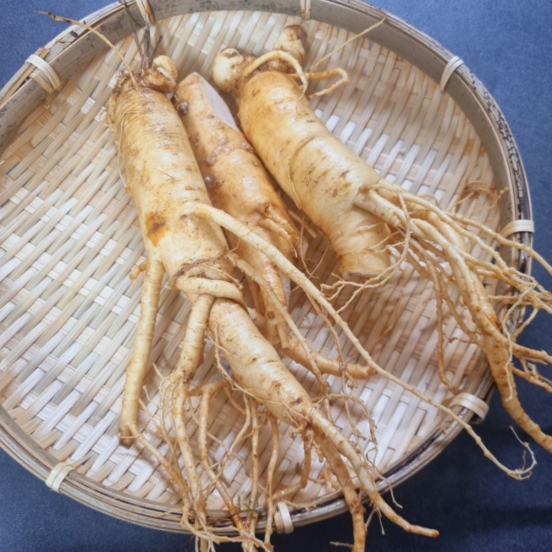 인삼꿀절임 만들기 인삼요리 수삼먹는법 인삼꿀차 인삼보관법 네이버 블로그
