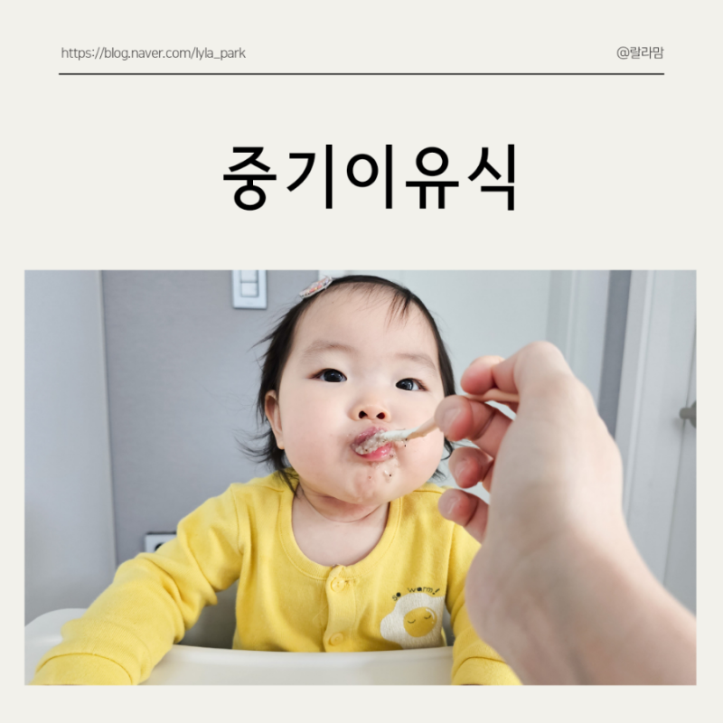 중기이유식 시기 식단표 8개월 아기 이유식 양 네이버 블로그
