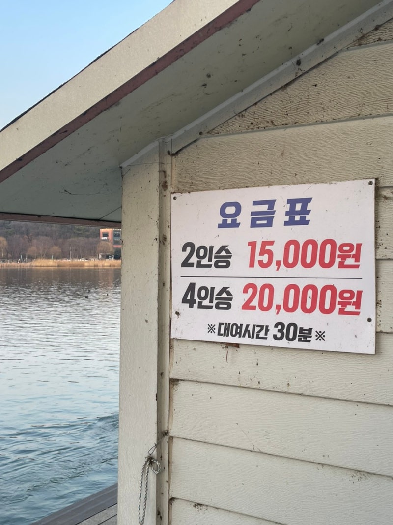 대구 여행 가볼만한곳 추천 아이들과 나들이 강아지 산책 장소 추천미즈사키린타로묘맨발걷기하기 좋은곳 수성유원지 수성못