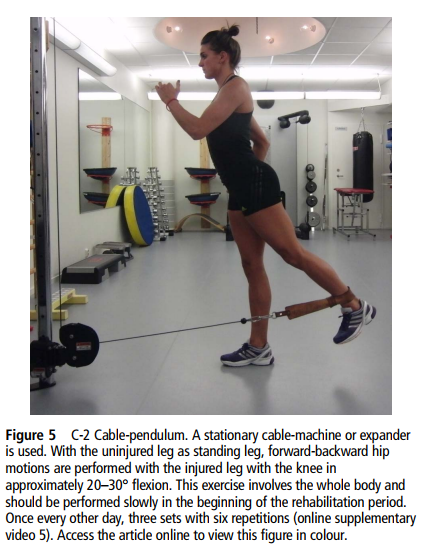 축구선수 햄스트링 필수 재활 운동 / Askling L-protocol / The Extender, The Diver, The ...