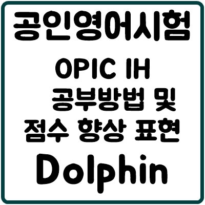 OPIC IH 공부방법 및 점수 향상 표현 정리 : 네이버 블로그