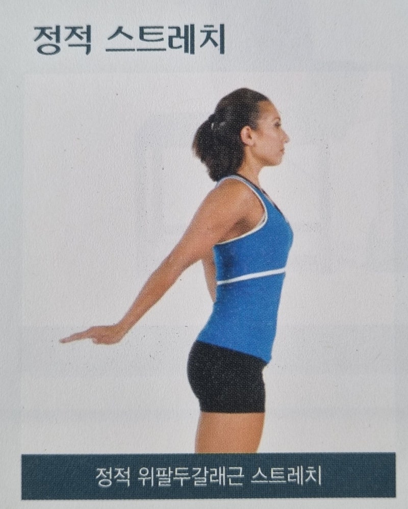 위팔두갈래근 상완이두근 Biceps Brachii 위치와 기능 및 통증 부위 네이버 블로그