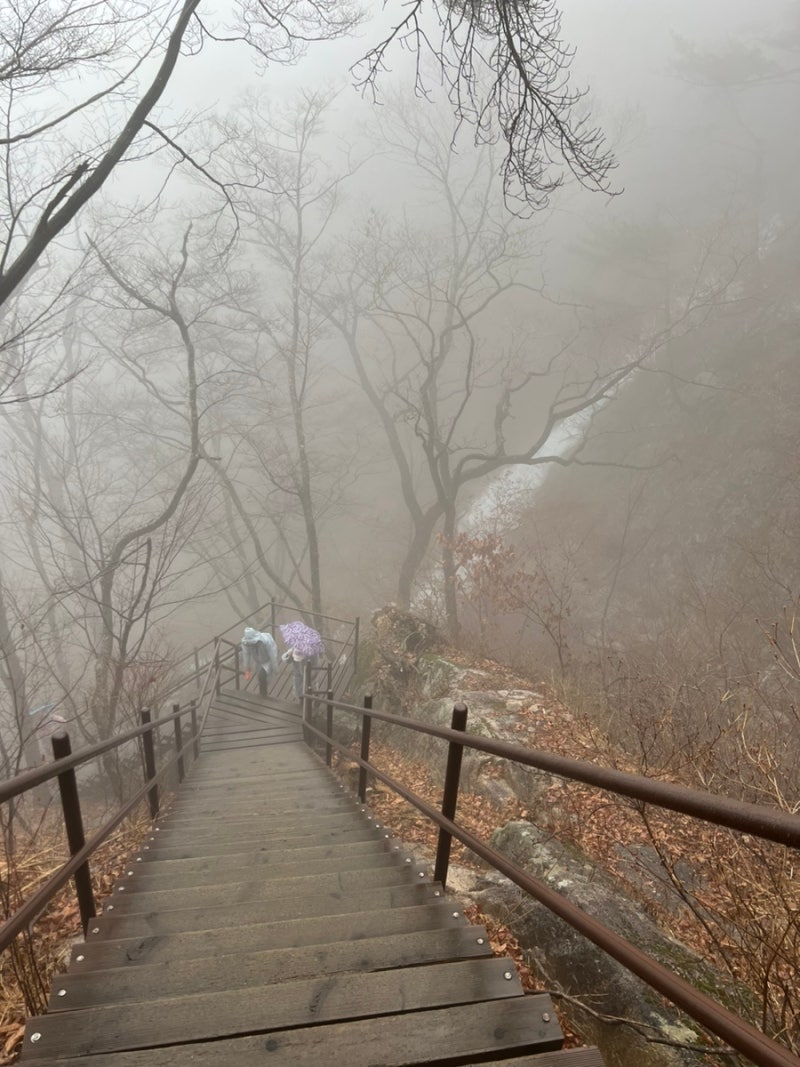 대야산 등산코스 월영대 정상 밀재 최단코스 네이버 블로그