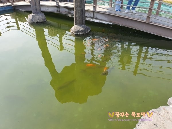 곡성 섬진강기차마을 입장료 주차 식당 총정리 네이버 블로그