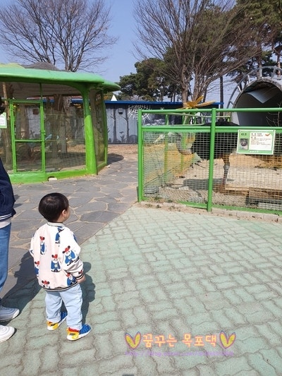 곡성 섬진강기차마을 입장료 주차 식당 총정리 네이버 블로그