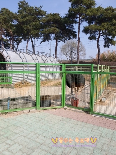 곡성 섬진강기차마을 입장료 주차 식당 총정리 네이버 블로그