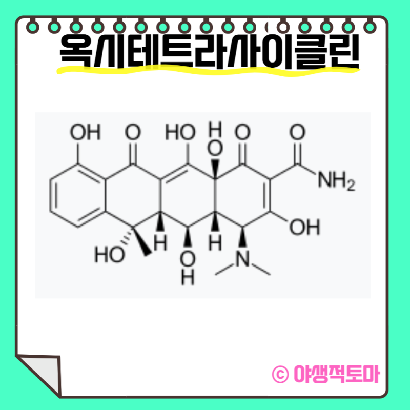 결막염약 테라마이신 안연고 Vs 나조린 성분 작용기전 효능 부작용 네이버 블로그