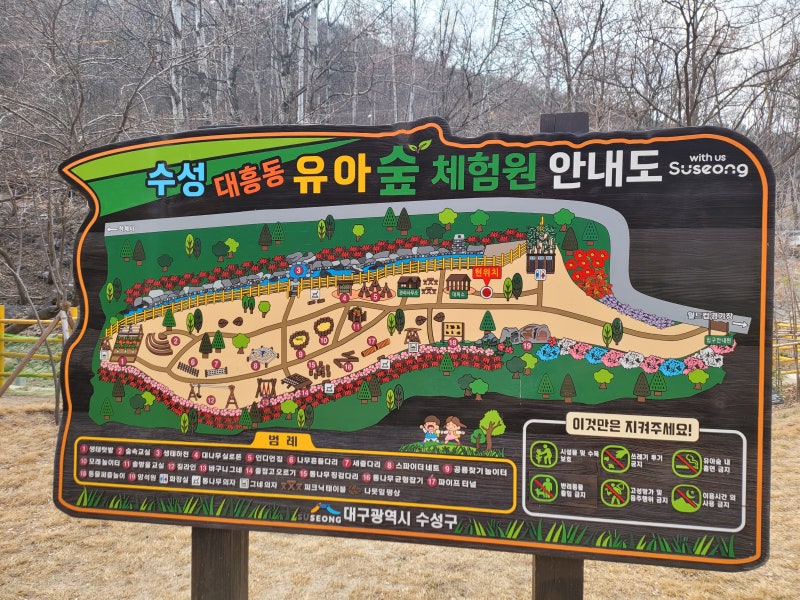 대구 월드컵경기장 대흥동유아숲체험원월드컵경기장숲놀이터대구스타디움숲놀이터대구 수성구 숲놀이터 네이버 블로그