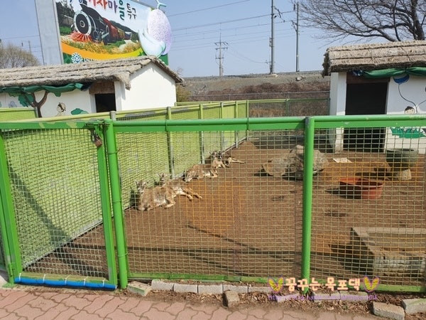 곡성 섬진강기차마을 입장료 주차 식당 총정리 네이버 블로그