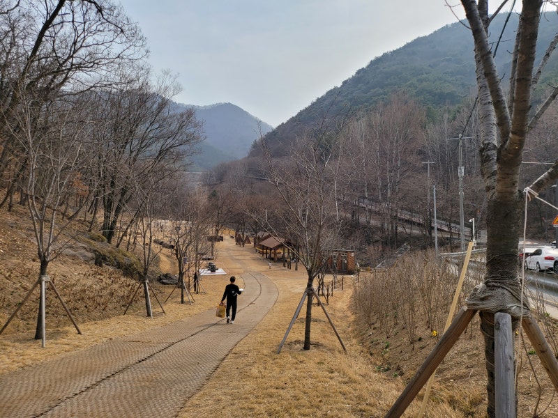 대구 월드컵경기장 대흥동유아숲체험원월드컵경기장숲놀이터대구스타디움숲놀이터대구 수성구 숲놀이터 네이버 블로그