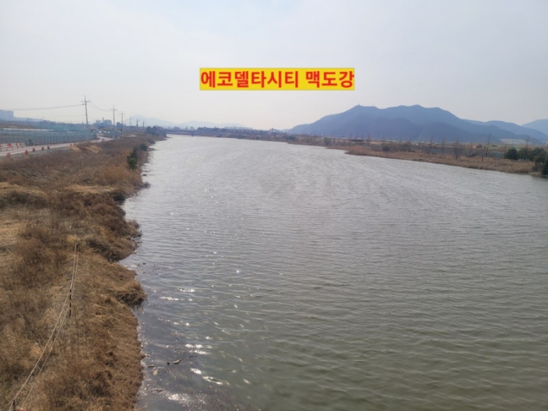 명지신세계빌리브명지복합 5구역백화점 쇼핑몰 부산 국제신도시 국제영어학교 국제신도시오피스텔 에코델타시티아파트 네이버 블로그