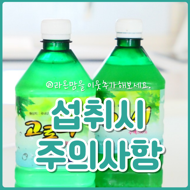 고로쇠물 고로쇠 효능 보관방법 채취시기 섭취시 주의사항 네이버 블로그