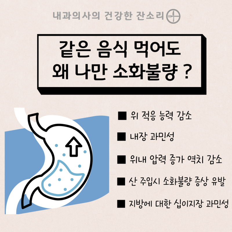 소화불량 소화가 안되는 음식 소화에 도움이 되는 음식 네이버 블로그
