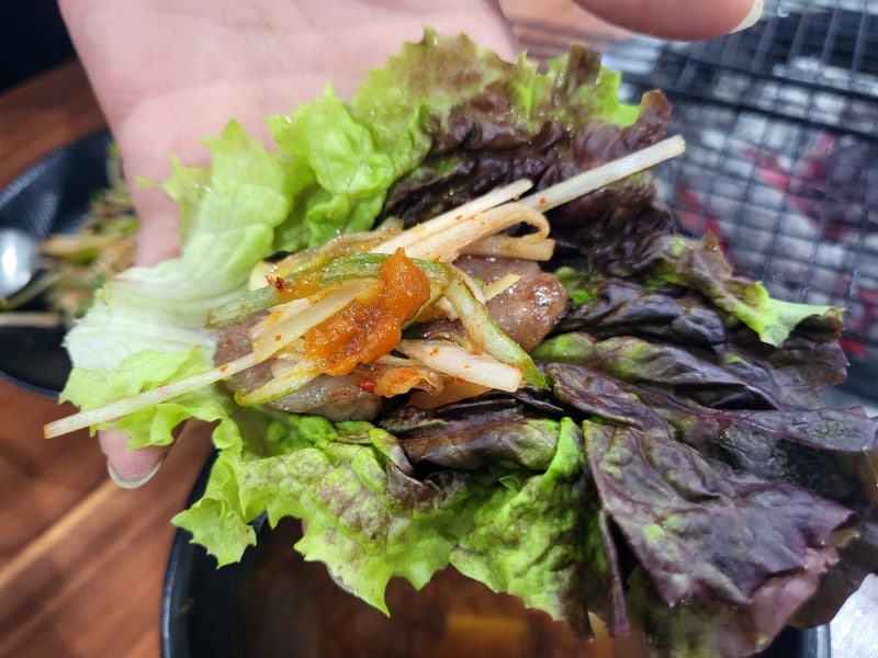 춘천 제비추리 전문점 대복소갈비살 식객허영만의백반기행 맛집 주차장 정보 네이버 블로그