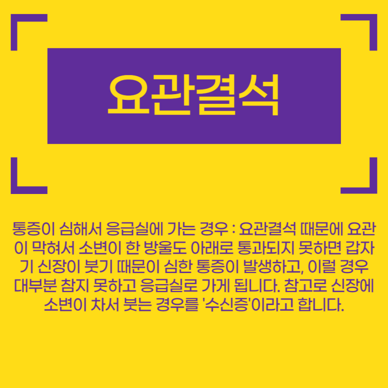 요로결석 신장결석 요관결석 방광결석 요도결석은 무엇이 다른가 요로결석 용어 총정리 네이버 블로그