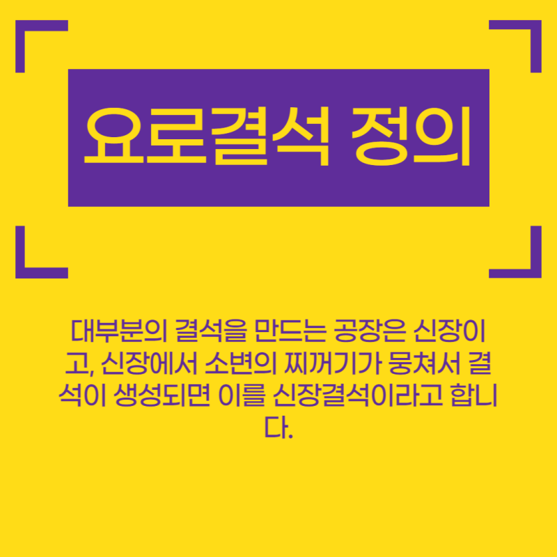 요로결석 신장결석 요관결석 방광결석 요도결석은 무엇이 다른가 요로결석 용어 총정리 네이버 블로그