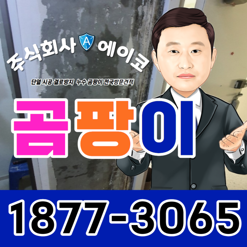 용인곰팡이제거 수원 현관곰팡이 결로 벽지 도배기흥 비용 네이버 블로그