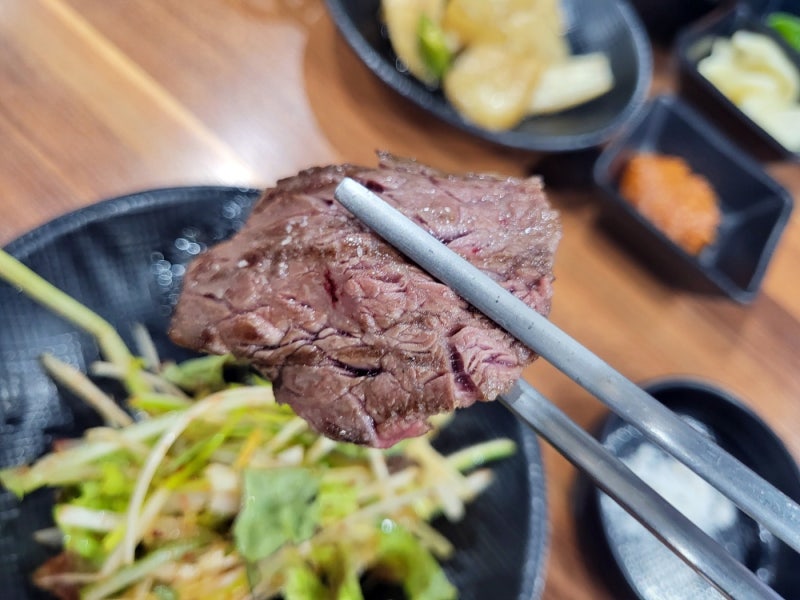 춘천 제비추리 전문점 대복소갈비살 식객허영만의백반기행 맛집 주차장 정보 네이버 블로그