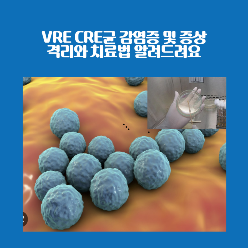 VRE·CRE균 감염증 및 증상, 격리와 치료법 알려드려요. : 네이버 블로그