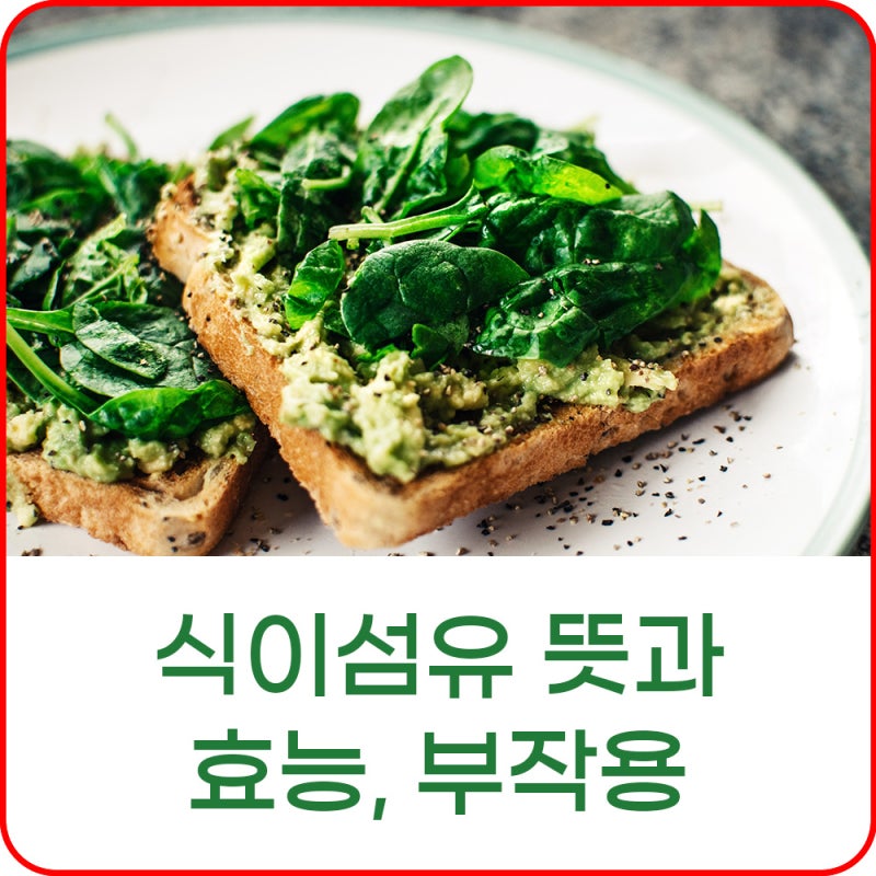 식이섬유 뜻과 효능 많은 음식 및 부작용 4가지 네이버 블로그