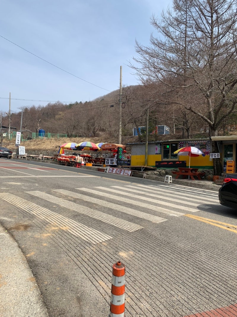 부산근교등산 간월재 사슴농장 초보코스 애견동반 리얼후기 네이버 블로그