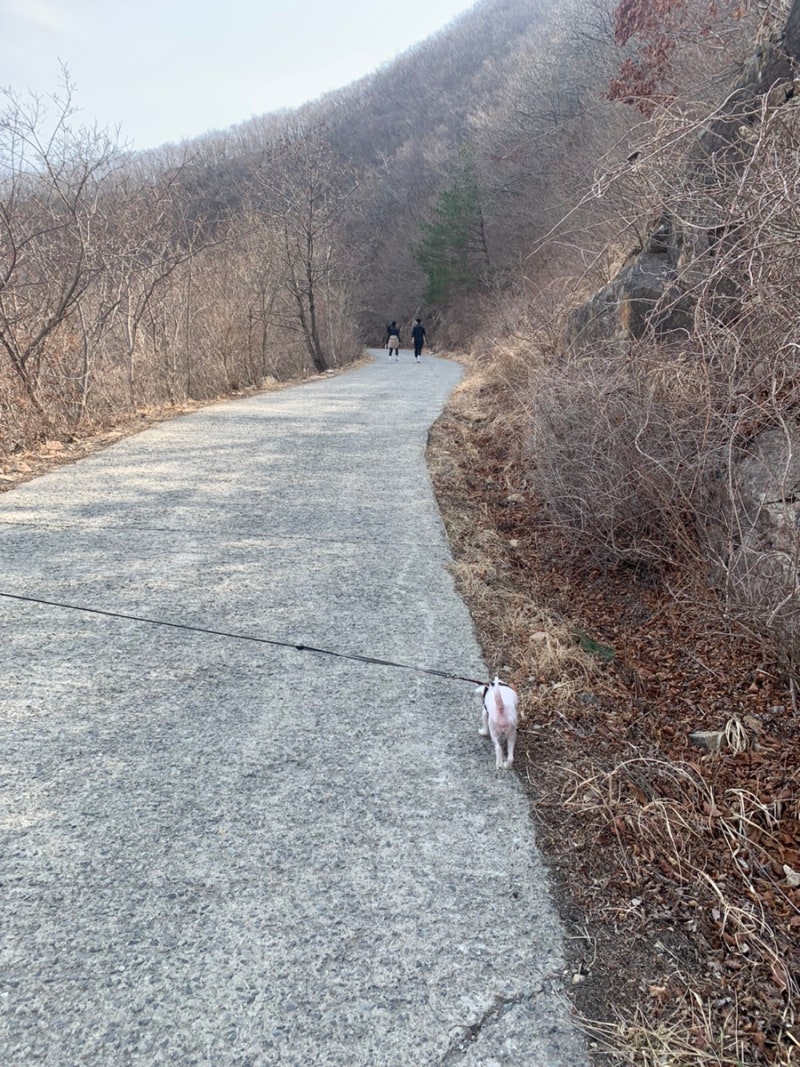 부산근교등산 간월재 사슴농장 초보코스 애견동반 리얼후기 네이버 블로그