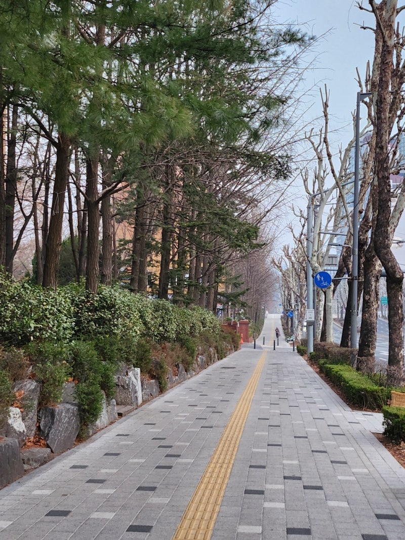 채무불이행자명부등재신청서 실제 작성사례 작성방법 네이버 블로그