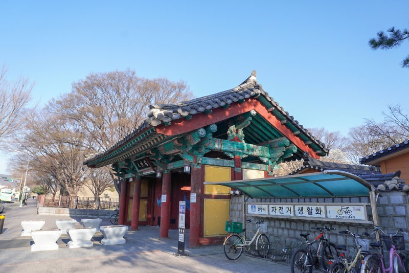 경주 여행 경주 대릉원 포토존 위치 목련 개화시기3월 14일 네이버 블로그