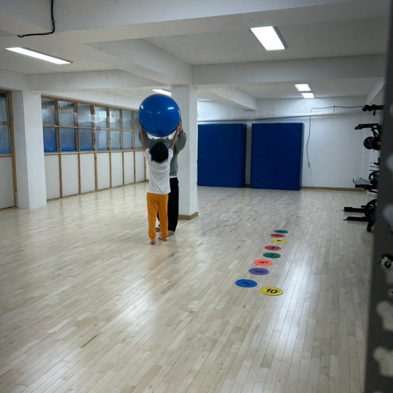 잠실 위투게더 발달 특수교육특수체육서울특수체육센터서울발달센터 네이버 블로그