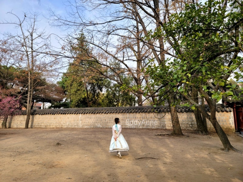 전주 한옥마을 볼거리 경기전 입장료 및 주차장 관람시간 놀거리 네이버 블로그