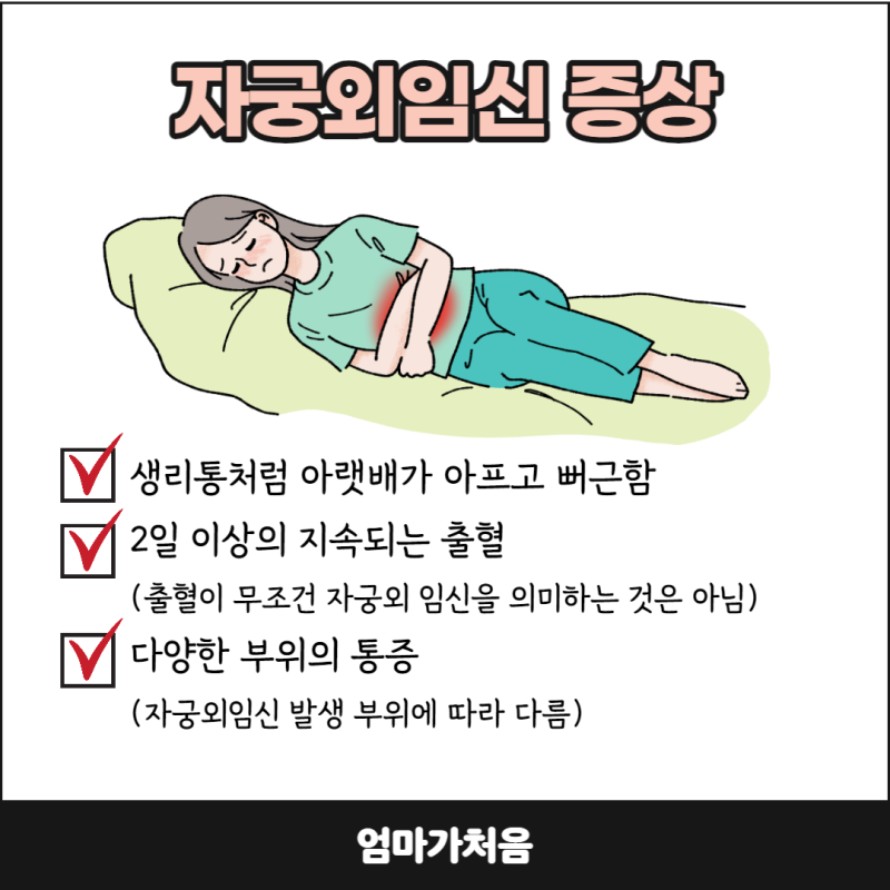자궁외임신 증상 임테기 원인 수술 바우처 임신사망 관련 7가 해당 네이버 블로그