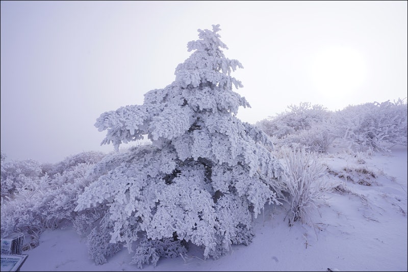 [지리산국립공원] 지리산 3대 주봉 중 노고단 설경 : 네이버 블로그