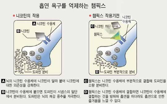약사가 알려주는 챔픽스 정 금연약 복용방법 주의사항 부작용 약값 니코챔스 챔키스정 니코바이 챔탑스 금연