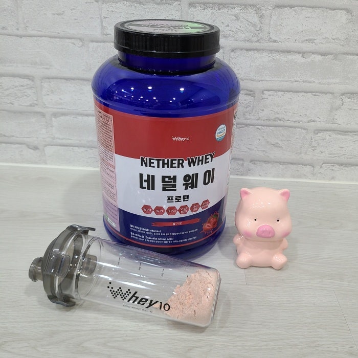 단백질 보충제 신장 외 부작용 및 영양제 비교 분석 네이버 블로그