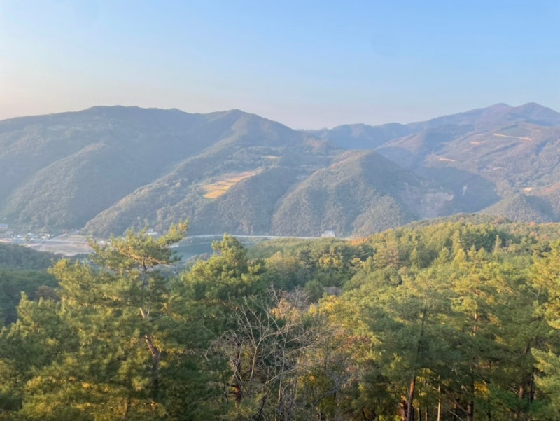 소백산 자연휴양림 정감록 And 휴양관 이용 후기 바비큐장 전망대까지 즐겨보아요 Feat 단양 단풍 여행 네이버 블로그