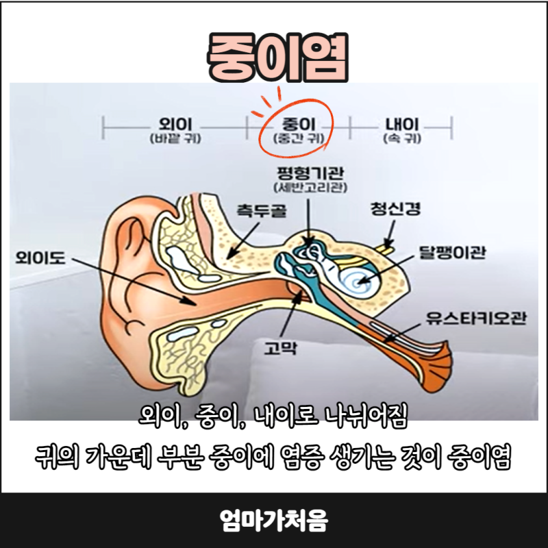 아기 중이염 증상 원인 치료 항생제 예방법 귀에걸리는 감기 네이버 블로그