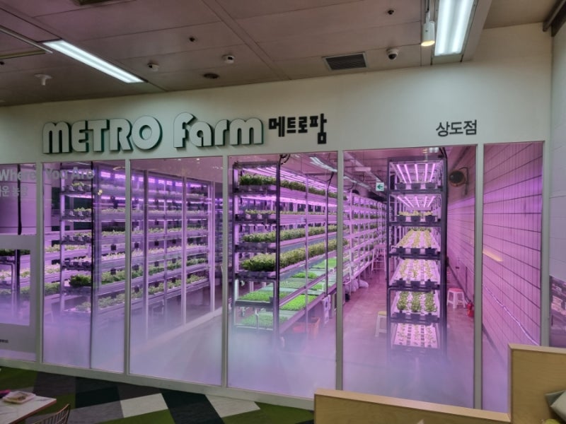 서울 아이와 가볼만한 곳 상도역 메트로팜 Farm 8 팜아카데미 스마트팜 체험 네이버 블로그