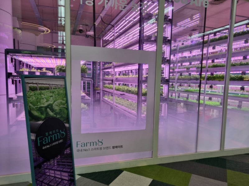 서울 아이와 가볼만한 곳 상도역 메트로팜 Farm 8 팜아카데미 스마트팜 체험 네이버 블로그