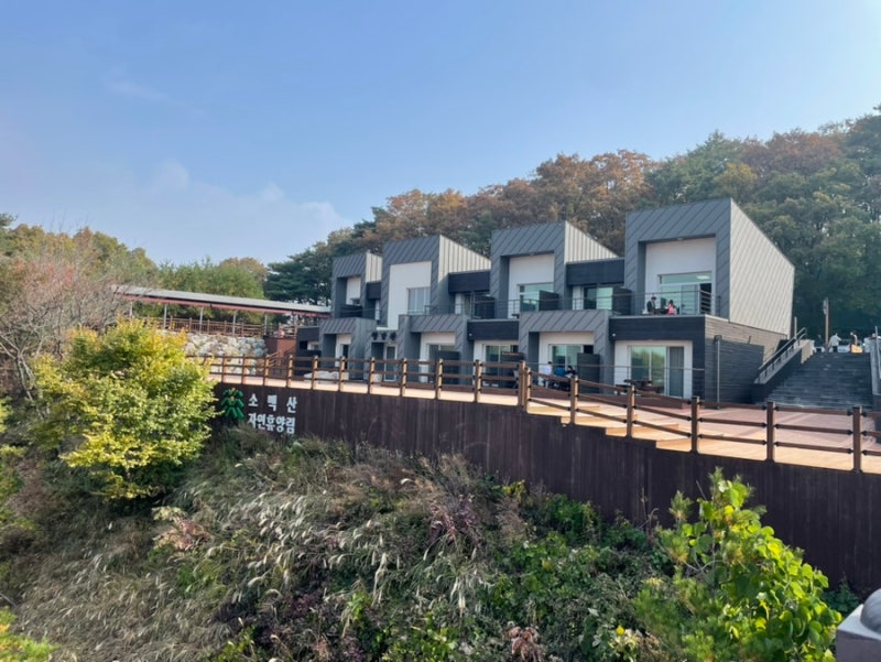 소백산 자연휴양림 정감록 And 휴양관 이용 후기 바비큐장 전망대까지 즐겨보아요 Feat 단양 단풍 여행 네이버 블로그