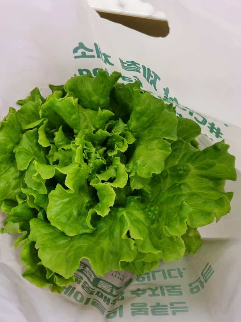 서울 아이와 가볼만한 곳 상도역 메트로팜 Farm 8 팜아카데미 스마트팜 체험 네이버 블로그