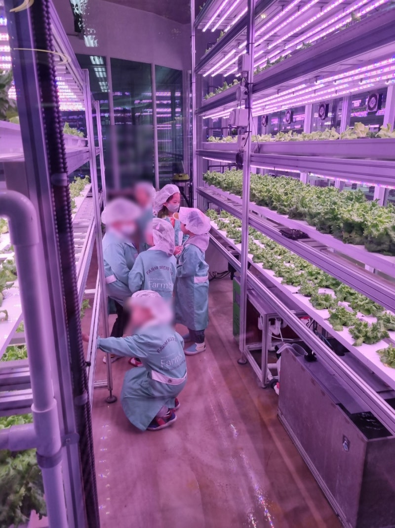 서울 아이와 가볼만한 곳 상도역 메트로팜 Farm 8 팜아카데미 스마트팜 체험 네이버 블로그