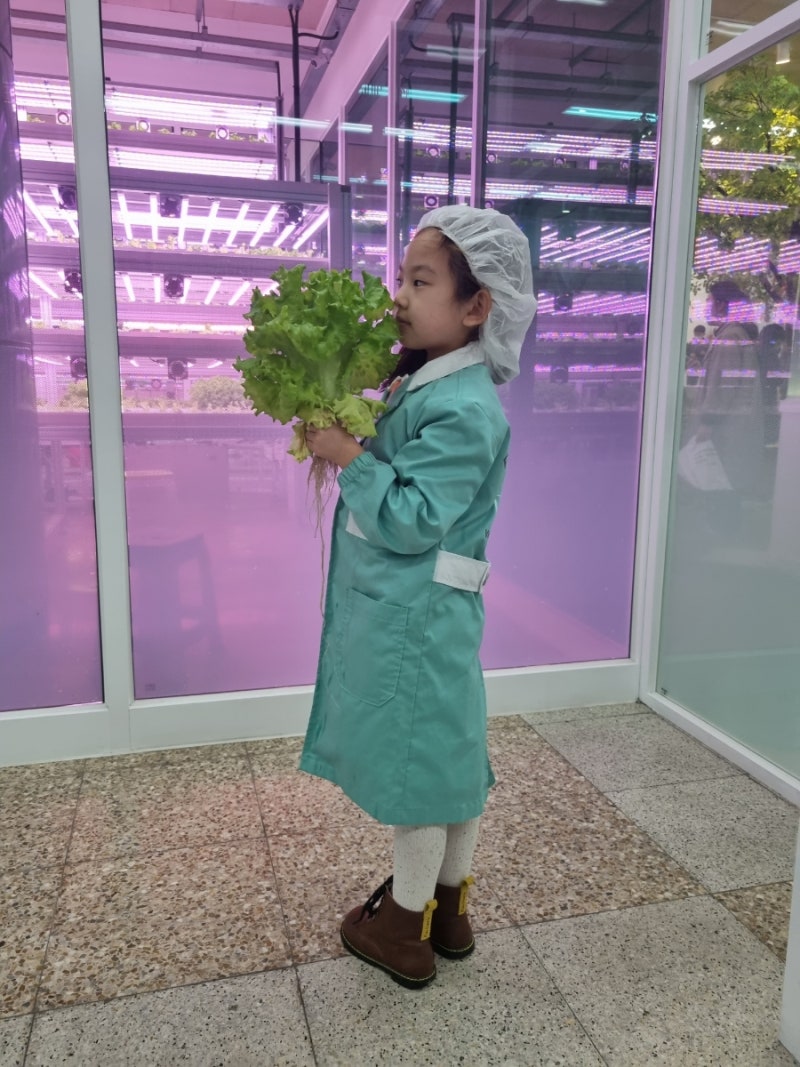 서울 아이와 가볼만한 곳 상도역 메트로팜 Farm 8 팜아카데미 스마트팜 체험 네이버 블로그
