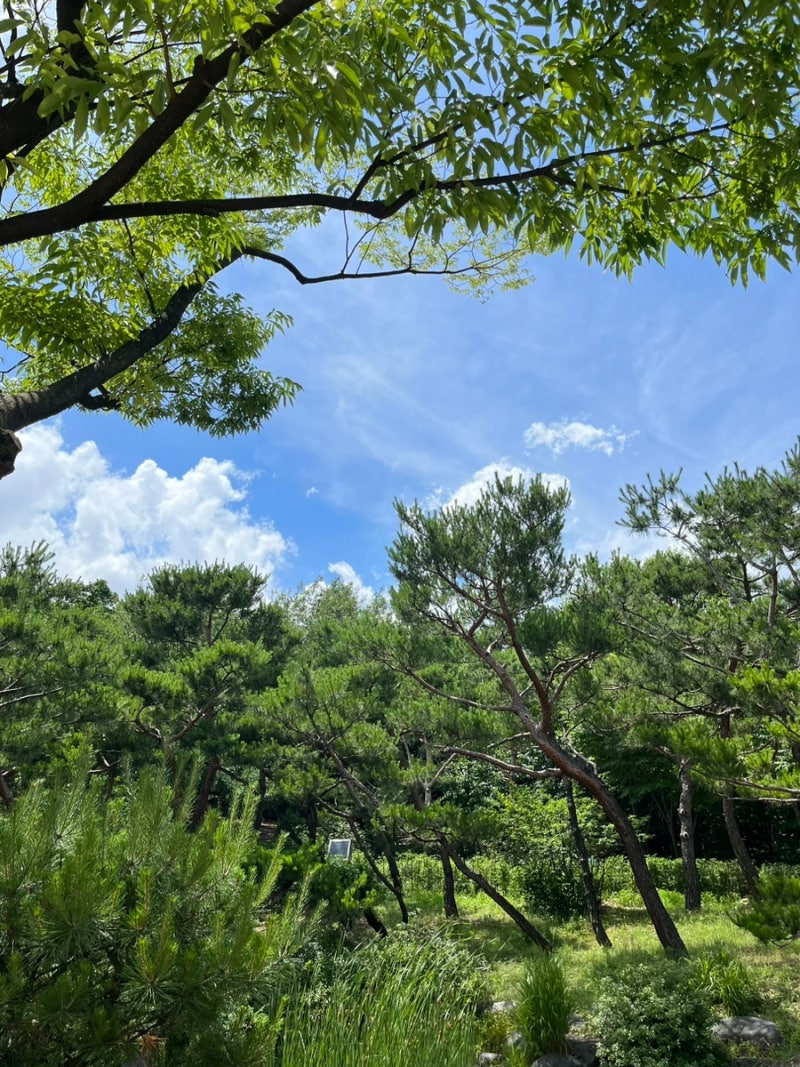 서울 구경 가볼만한곳 5곳 추천 Best 5 네이버 블로그