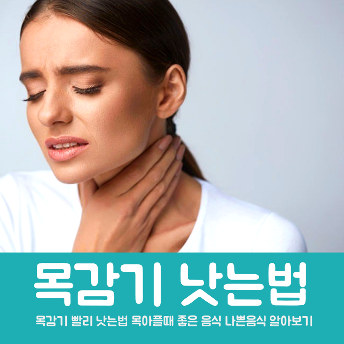 목감기 빨리 낫는법 목아플때 좋은 음식 나쁜 음식 네이버 블로그
