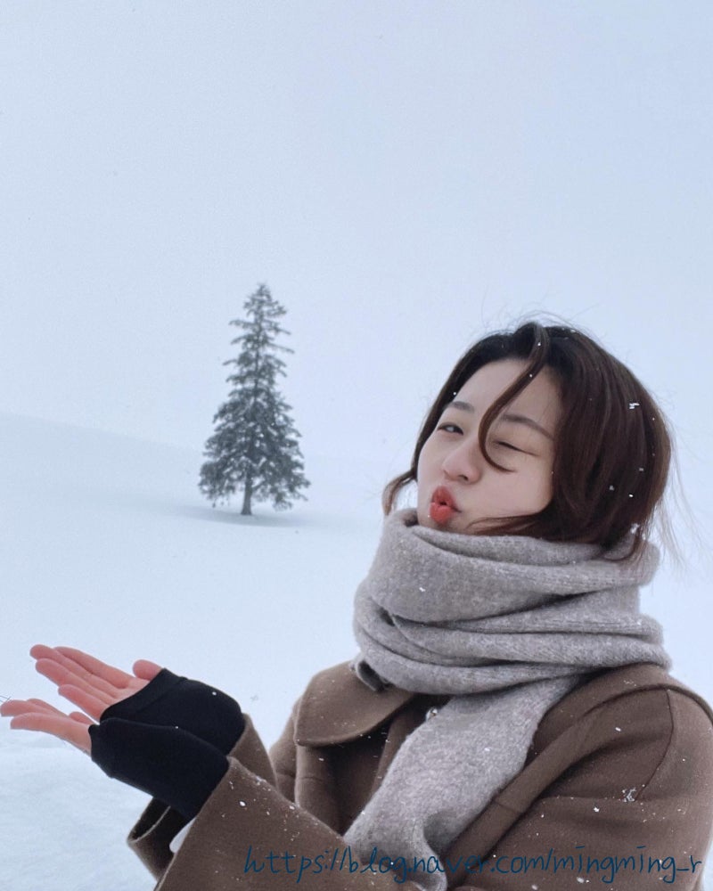 삿포로여행 I 비에이 크리스마스 트리 택시투어 자유관람 네이버 블로그