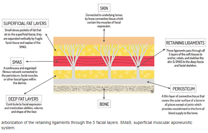 심부볼 볼살 처짐에 어떤 시술이 효과 있을까? 울쎄라가 효과 없는 이유 feat. 써마지, 속탄력주사 : 네이버 블로그