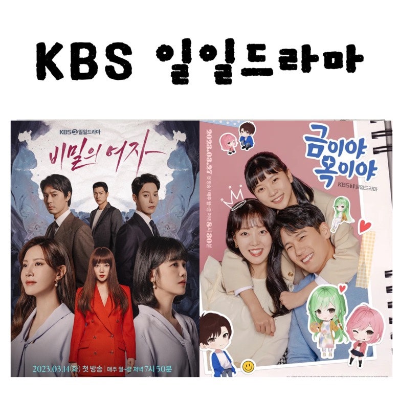 KBS 일일드라마 비밀의 여자 금이야 옥이야 정보 출연진 등장인물 몇부작 : 네이버 블로그